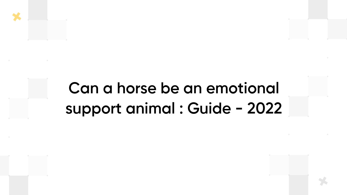 Can a horse be an emotional support animal : Guide - 2022 | Kommunity